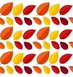 Autumn leaves seamless pattern background Vector Image
