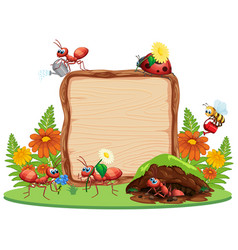 Border template design with insects in garden Vector Image