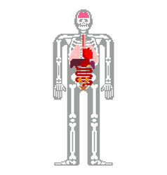 Rib cage pixel art bones anatomy 8 bit pixelate Vector Image