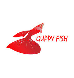 Guppy fish design Royalty Free Vector Image - VectorStock