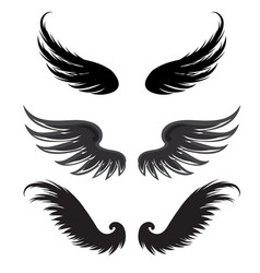 Set of angelic or bird wings Royalty Free Vector Image