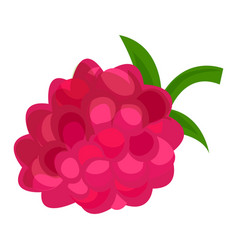 Cartoon raspberry character Royalty Free Vector Image