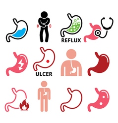 Stomach peptic ulcer charts Royalty Free Vector Image
