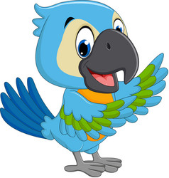 Cute macaw cartoon Royalty Free Vector Image - VectorStock