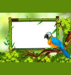 A parrot on bamboo border Royalty Free Vector Image