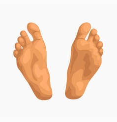 Foot Royalty Free Vector Image - VectorStock