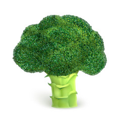 Broccoli icon set realistic style Royalty Free Vector Image
