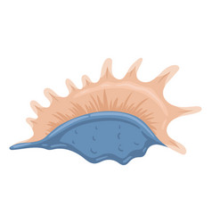 Cartoon nautilus Royalty Free Vector Image - VectorStock