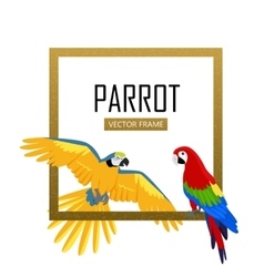 Parrots ara macao template Royalty Free Vector Image