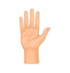 Opened palm of the hand icon cartoon style Vector Image