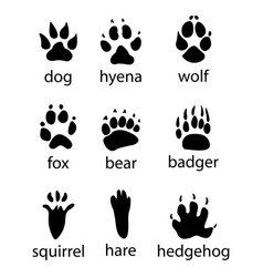 Various traces of animals Royalty Free Vector Image