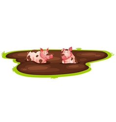 Educational flashcard pig sporting in a mud puddle