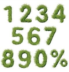 Floral font numbers vector by rumko - Image #406487 - VectorStock