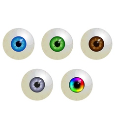 Realistic multi colored eyeball iris pupils set Vector Image