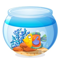 Goldfish in aquarium Royalty Free Vector Image