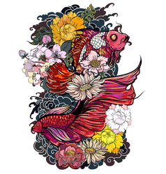 Colorful siamese fighting fish or betta swimm Vector Image