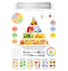 Food pyramid chart Royalty Free Vector Image - VectorStock