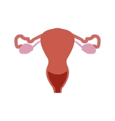 Reproductive system set Royalty Free Vector Image