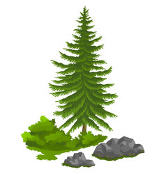 Forest fir trees silhouettes coniferous spruce Vector Image