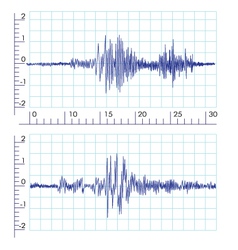 Seismographs Graph output by a seismograph Vector Image