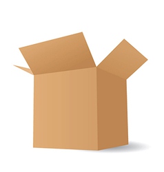 Open cartoon flat cardboard box on white Vector Image