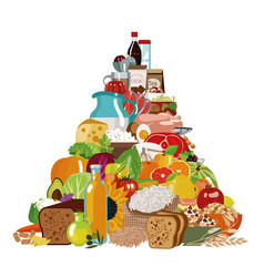Food pyramid Royalty Free Vector Image - VectorStock