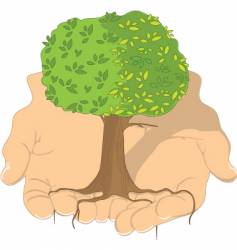 Cartoon tree Royalty Free Vector Image - VectorStock