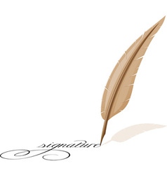 Black feathers on white background Royalty Free Vector Image