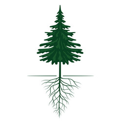 Forest fir trees silhouettes coniferous spruce Vector Image