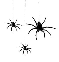 Spiders set in flat style design different Vector Image