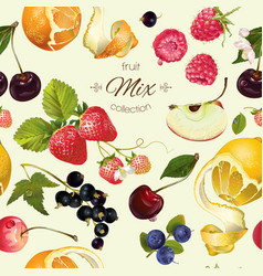 Berry mix composition Royalty Free Vector Image