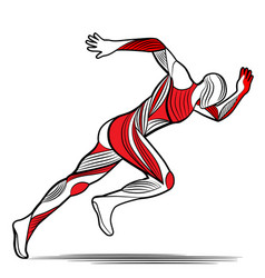 Trendy stylized movement archer sports archery Vector Image