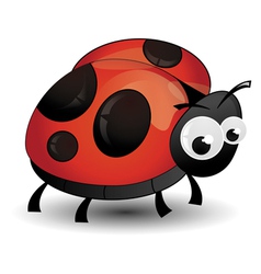 Cartoon ladybird Royalty Free Vector Image - VectorStock
