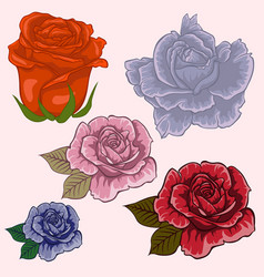 Single rose flower isolated pink bud Royalty Free Vector