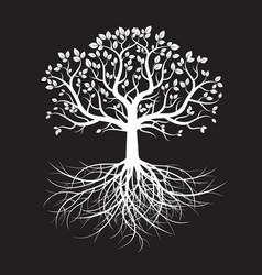 Tree roots design Royalty Free Vector Image - VectorStock