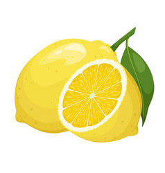 Lemon fruit Royalty Free Vector Image - VectorStock