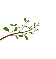 Tree branch design Royalty Free Vector Image - VectorStock