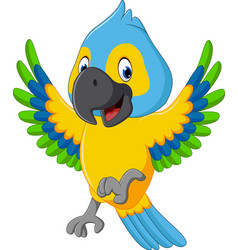 Cute macaw cartoon Royalty Free Vector Image - VectorStock
