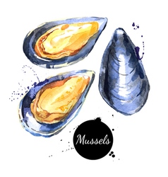 Mussels in shell isolated of seafood Royalty Free Vector