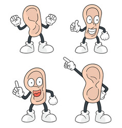 Auditory pathways from cochlea in ear to cortex Vector Image