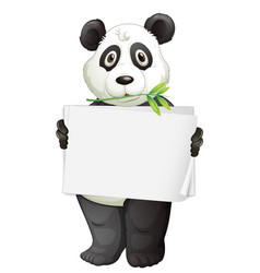 Board template with cute panda on white background