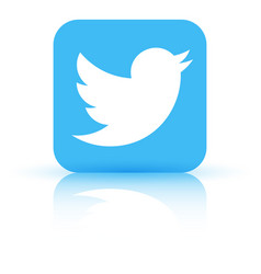 Twitter logo icon Royalty Free Vector Image - VectorStock