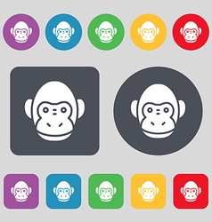 Animal faces for app icons-set 12 Royalty Free Vector Image