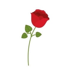 Two red roses Royalty Free Vector Image - VectorStock