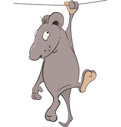 Cartoon dead mouse Royalty Free Vector Image - VectorStock