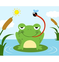 Frog catching a fly Royalty Free Vector Image - VectorStock