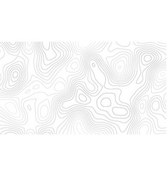 Topographic map seamless pattern background Vector Image