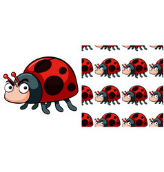 Ladybug on bike Royalty Free Vector Image - VectorStock