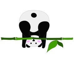 Funny exotic animals Royalty Free Vector Image