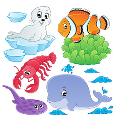 Seal fish Royalty Free Vector Image - VectorStock